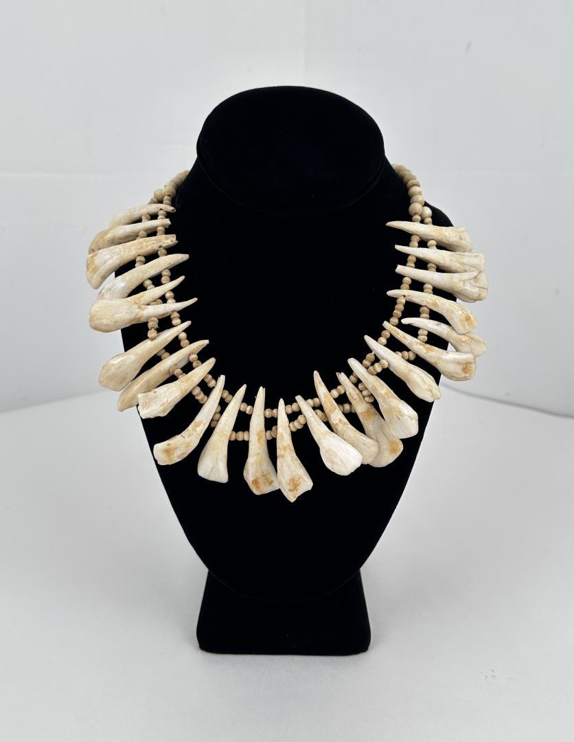 Native American Indian Elk Tooth Necklace