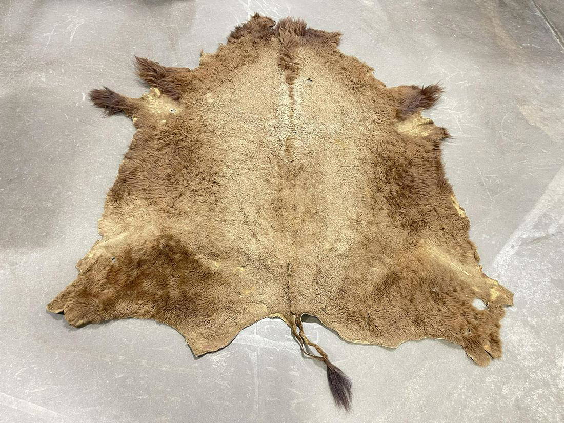 Large Antique Plains Indian Buffalo Hide Rug Auction