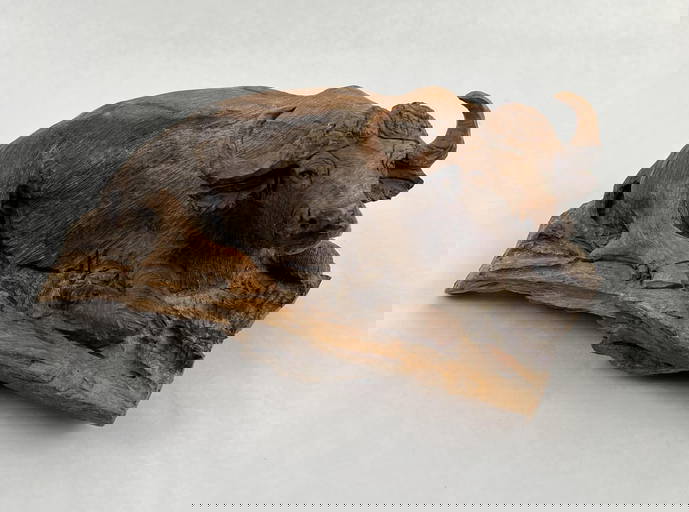 African Ironwood Cape Buffalo Carving