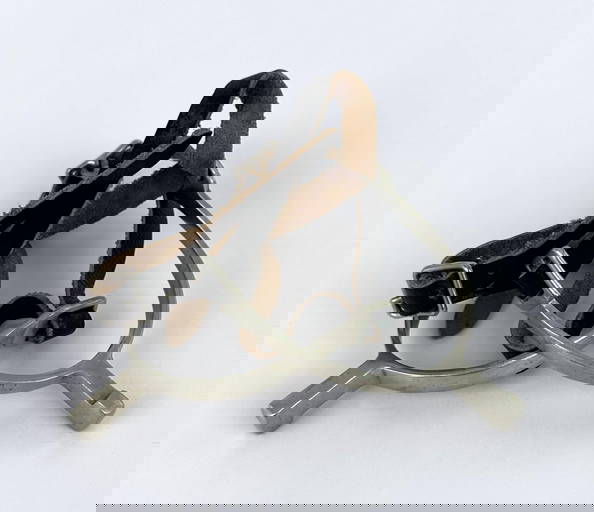 Never Rust English Riding Spurs