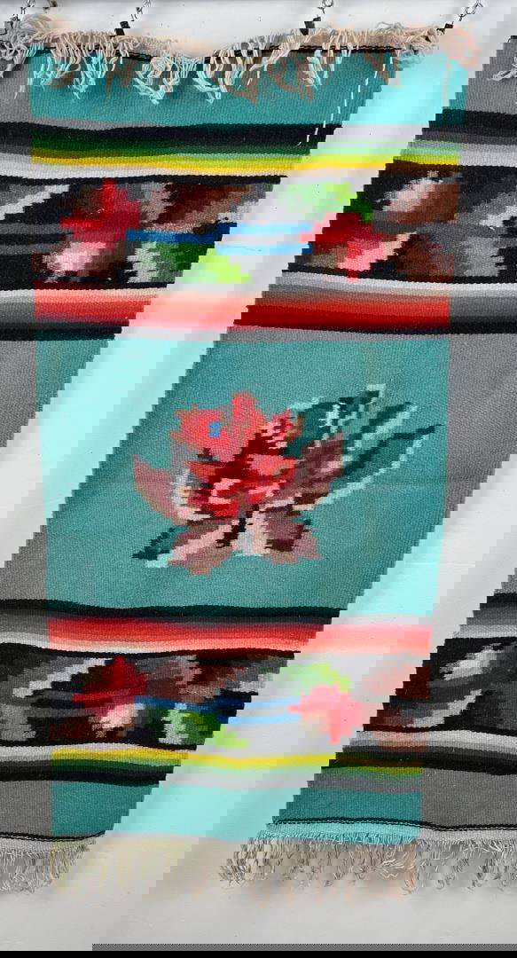 Mexican Wool Serape Saltillo Blanket Cactus Flower Auction