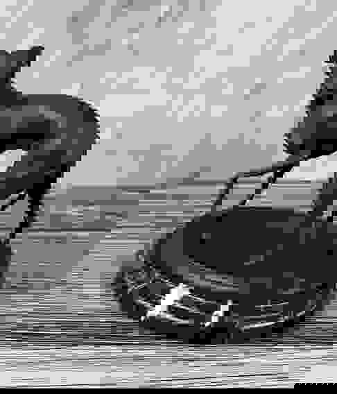 Pierre Jules (pj) Mene Whippet Gigi Dog Bronze Auction