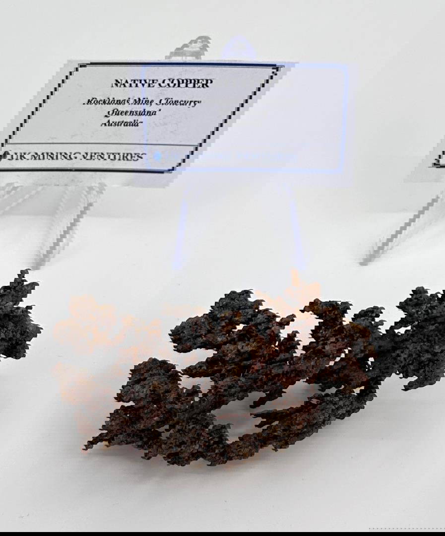 Native Copper Specimen Queensland Australia Auction
