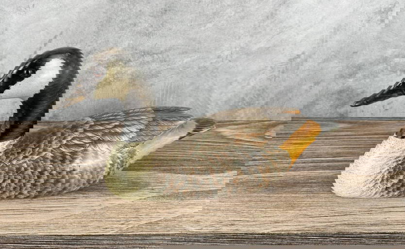 Craig Fellows Sourdough Creek Decoy Co Montana