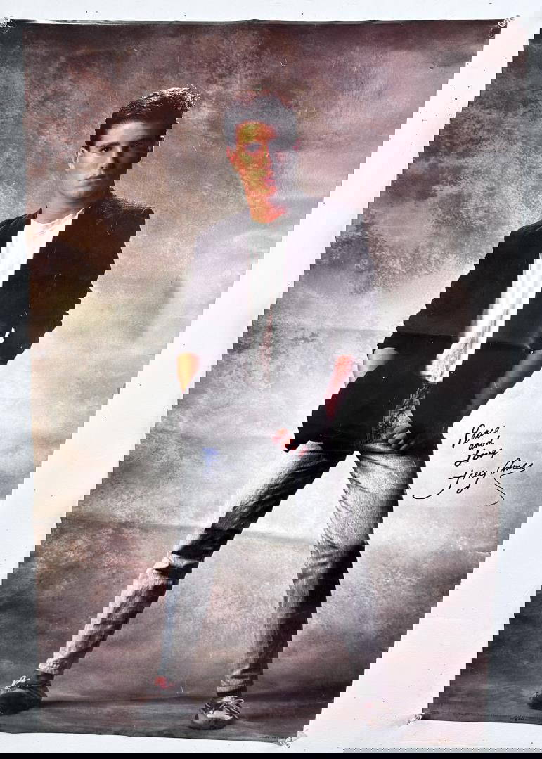 1988 Trey Ames Dolphin Cove Poster Auction