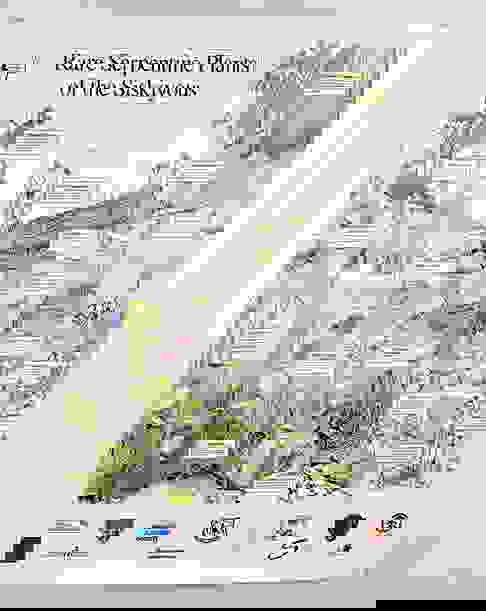 Us Forest Service Poster Auction