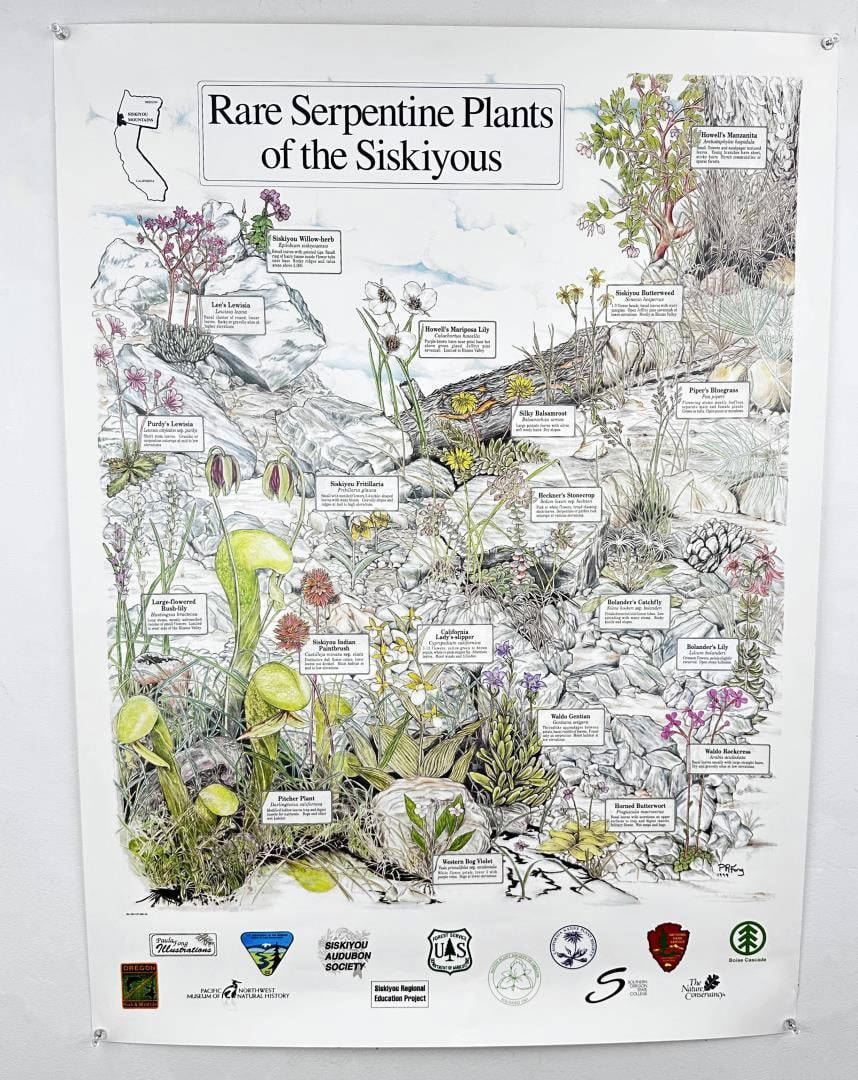 Us Forest Service Poster Auction