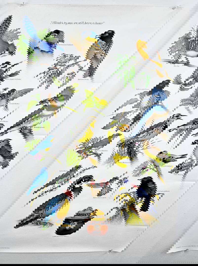 Us Forest Service Poster Auction