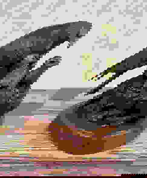 Joe Halko Montana Eagle Bronze Auction