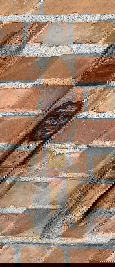 P. Wicks Montana Cottonwood Indian Carving Auction