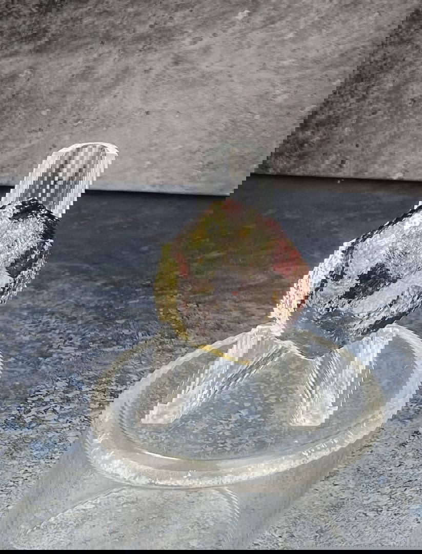 Almandine Garnet Wrangell Alaska Specimen Auction