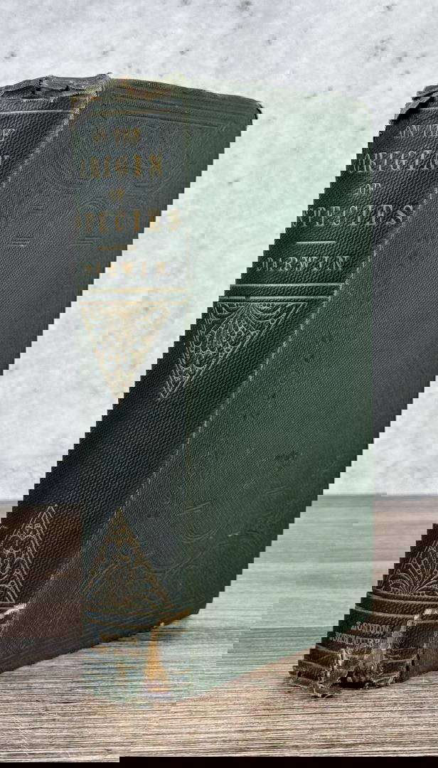 On The Origin Of Species Charles Darwin Auction