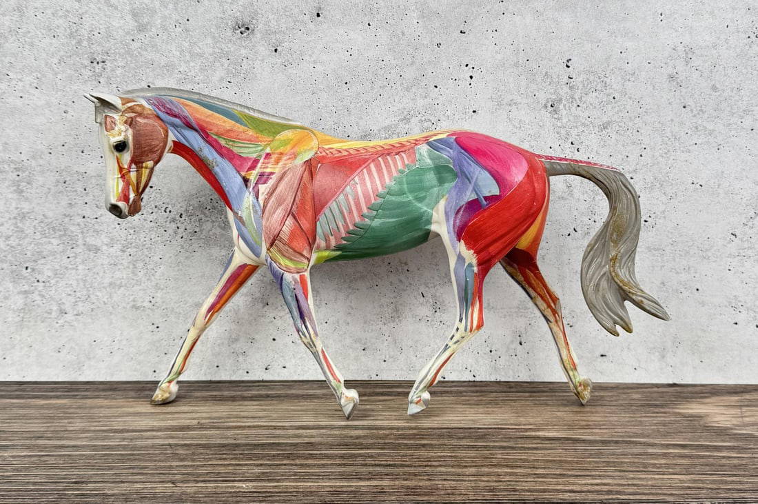 Breyer Anatomy In Motion Horse 2008 Auction