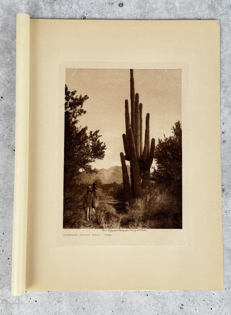 Edward Curtis Photogravure Gathering Cactus Fruit - Jun 14, 2025 ...