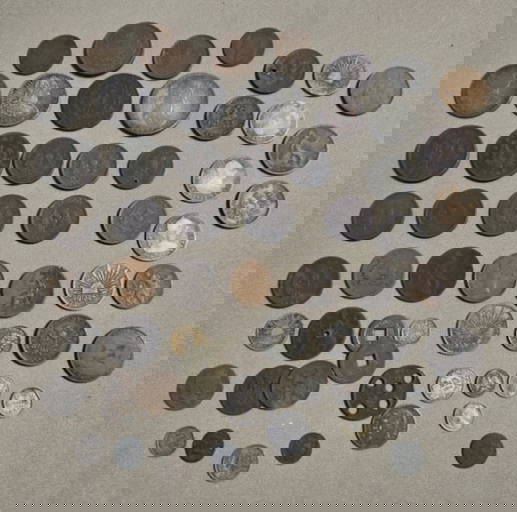 Foreign Coin Grouping