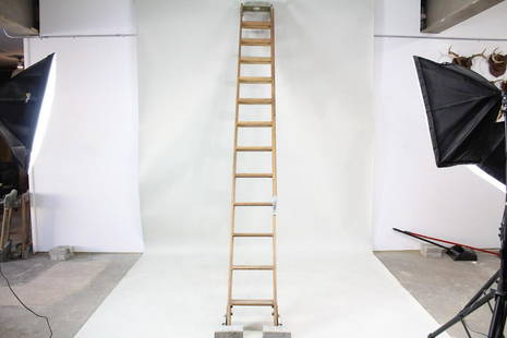 9 Ft Rolling Library Ladder W/ Wheels,industrial
