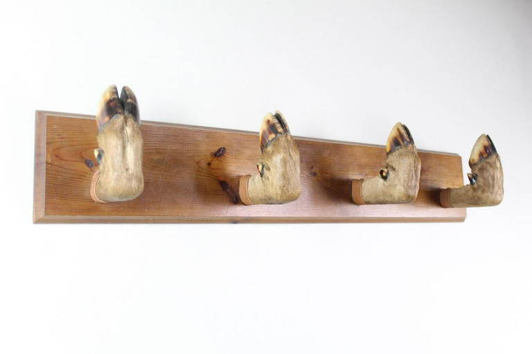Taxidermy Red Stag Foot Coat Hanger, 4 Deer Hoof Rack