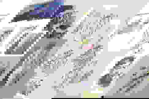 Lot Of 28 Vito Tomasello Works On Paper, Woodcuts & Drawings Auction