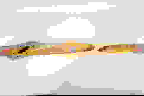 Sensenich Model 276-17 44-inch Wood Drone Propeller Auction