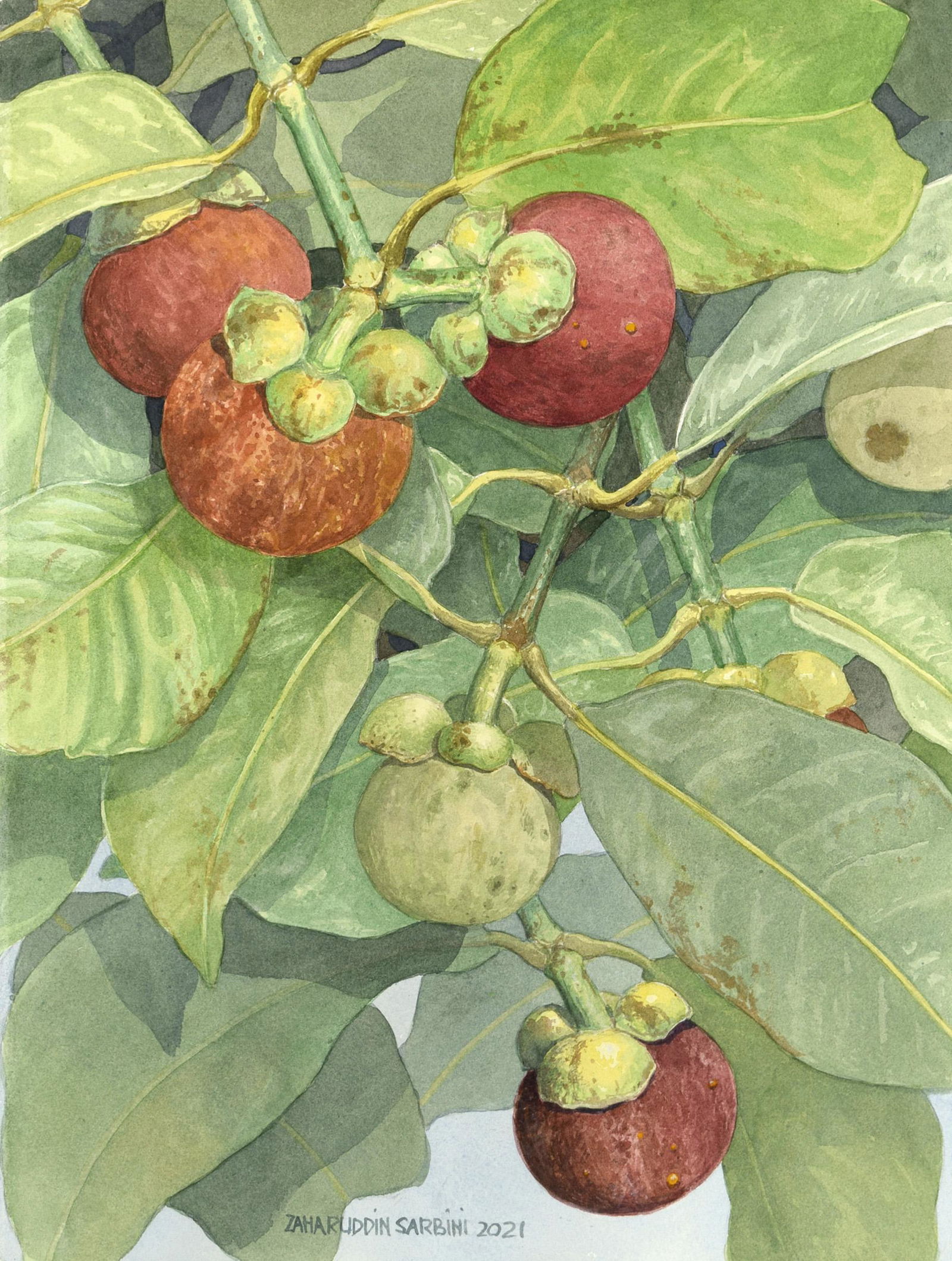 ZAHARUDDIN SARBINI: MANGOSTEEN, 2021 - Apr 15, 2021 | Younie's Auction ...
