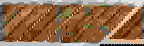 Antique Scrimshaw Shunga Panels Erotica On Bone Auction