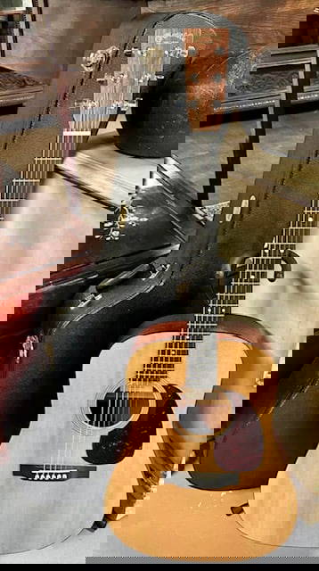 Martin & Co. Acoustic Guitar With Hard Carrying Auction