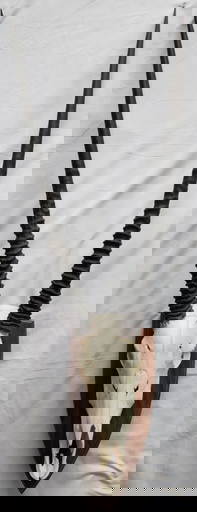 Mounted Gemsbok Oryx Skull W/ Horns