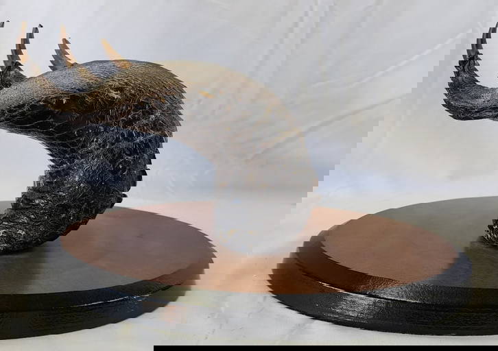 Taxidermy Mounted Alligator/crocodile Claw