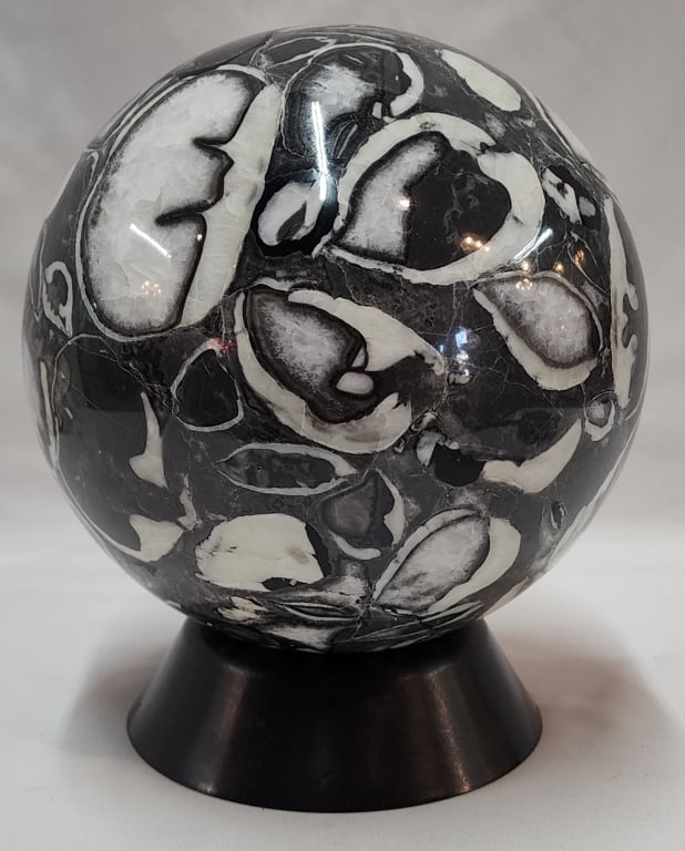 8" Natural Shell Jasper Sphere On Stand Auction