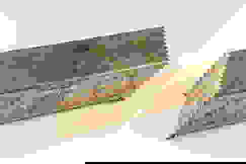 Adolf Hitler Cigarette Box Auction