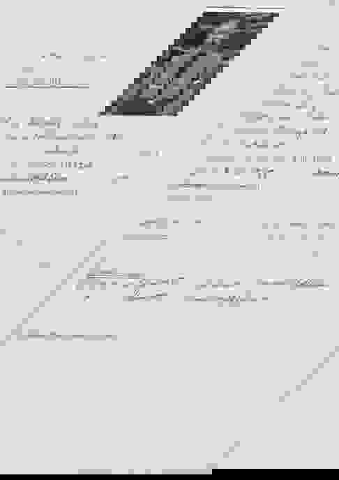 Hitler Youth Muster Roll File Auction