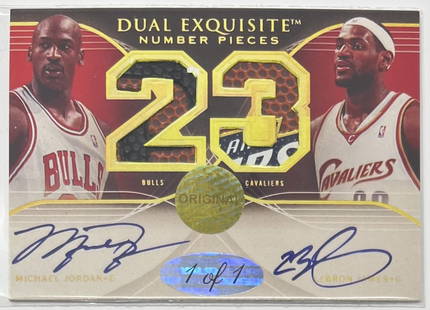 Michael Jordan And Lebron James Card