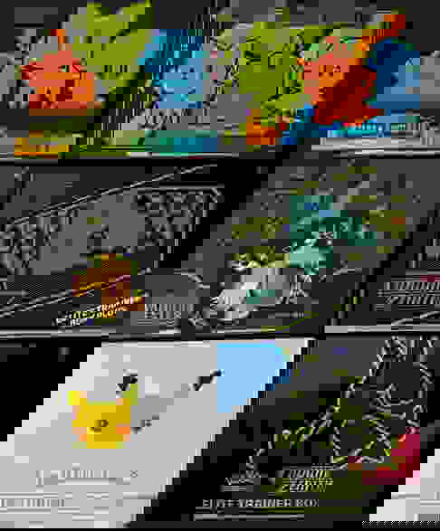 Big Pokemon Collection Auction