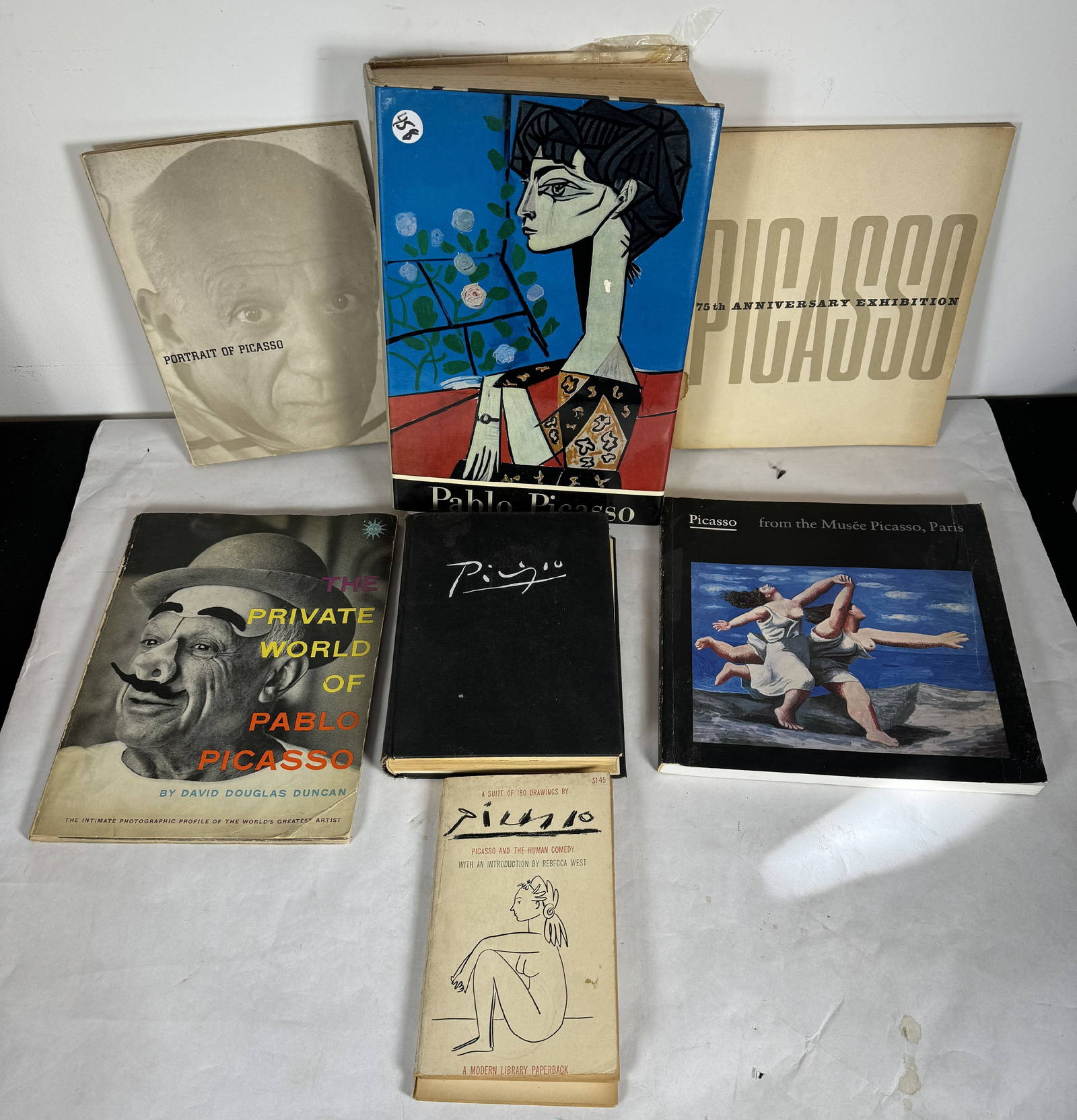 Lot Of Picasso Art Books Auction