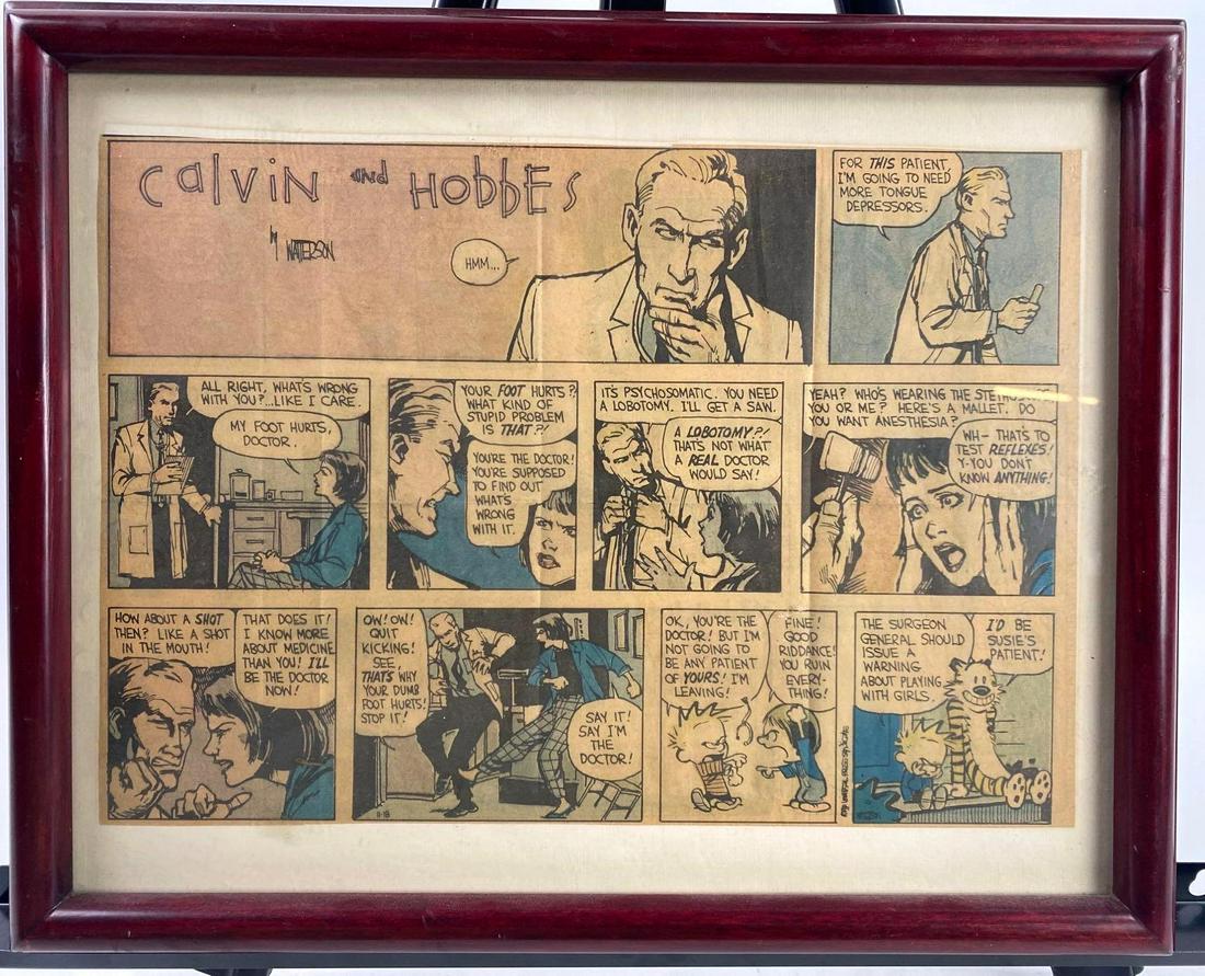 Bill Watterson, Calvin And Hobbes Comic Strip