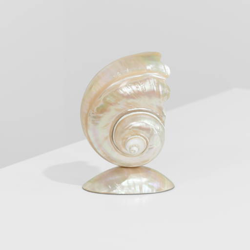 Nautilus Shell Lamp