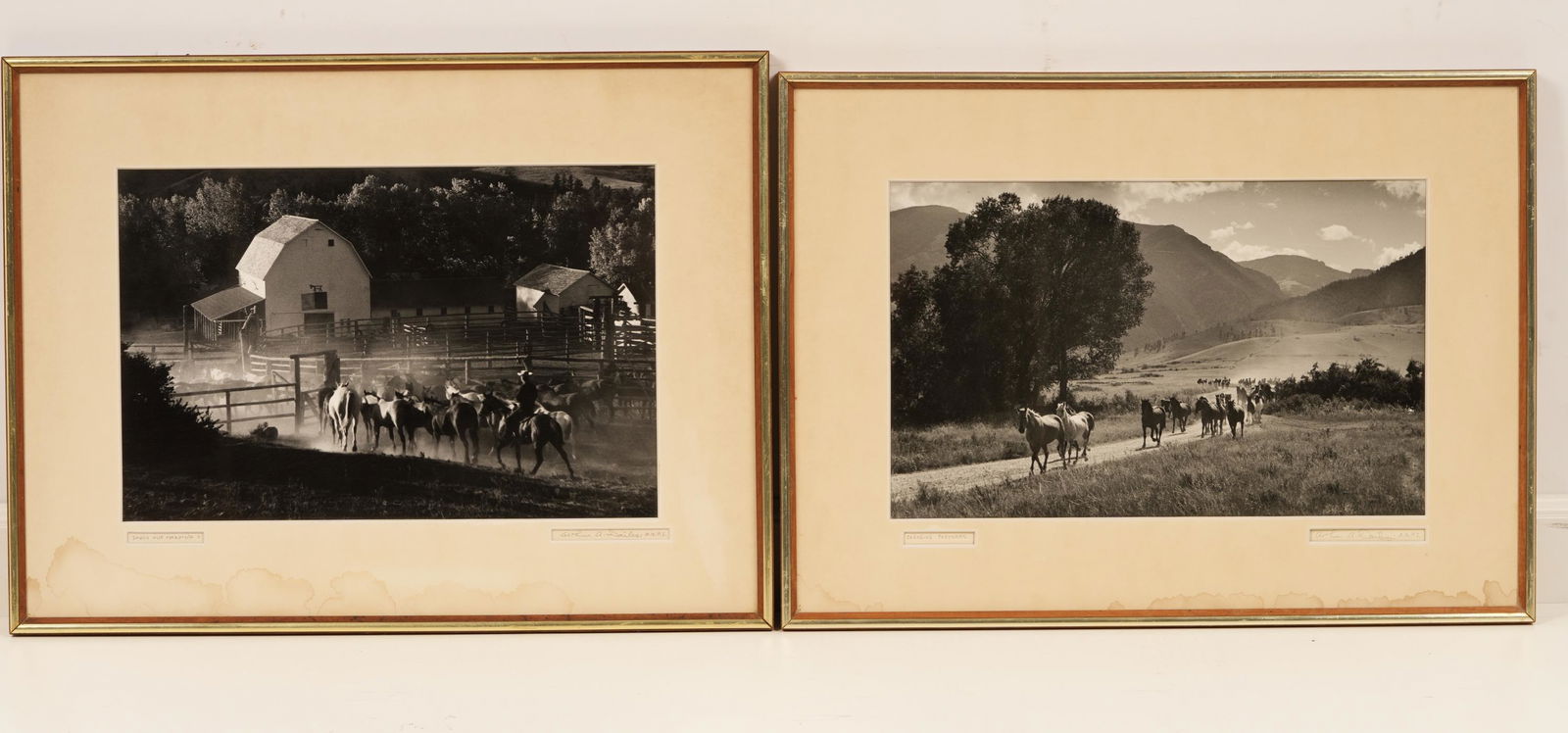 Pair Western Photograph By Arthur Dailey Wyoming