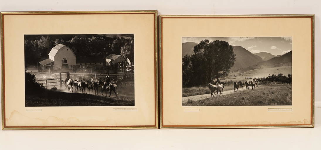 Pair Western Photograph By Arthur Dailey Wyoming