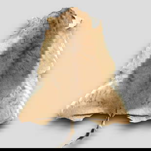 Vintage 1966 Porsche 911 Engine Table Auction