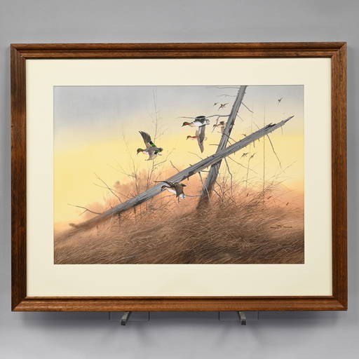 Gregory F. Messier Green Winged Teal