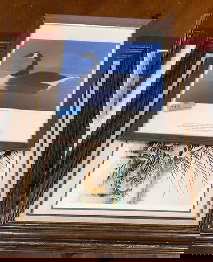 2 Goose Prints ~ 1 By James Partee, Jr