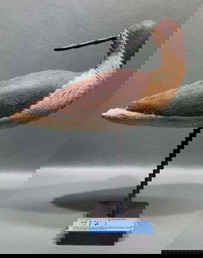 Carved Wooden Shorebird