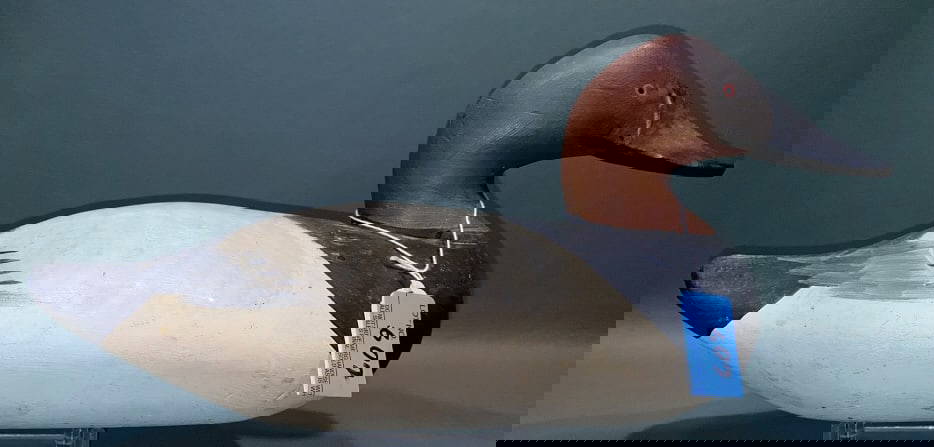 Madison Mitchell Canvasback Drake Auction