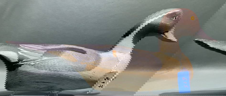 Clarence Bauer Pintail Drake Auction