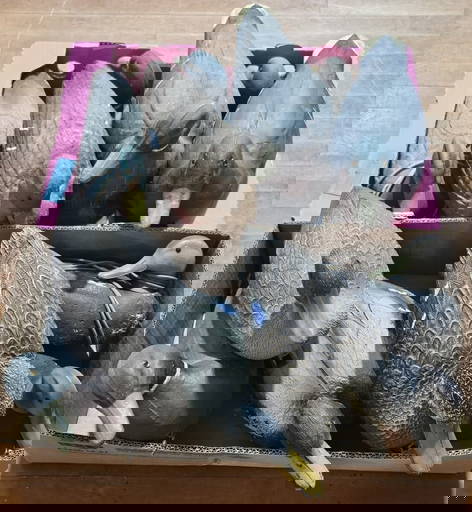 Vintage Paper Mache & Plastic Decoys