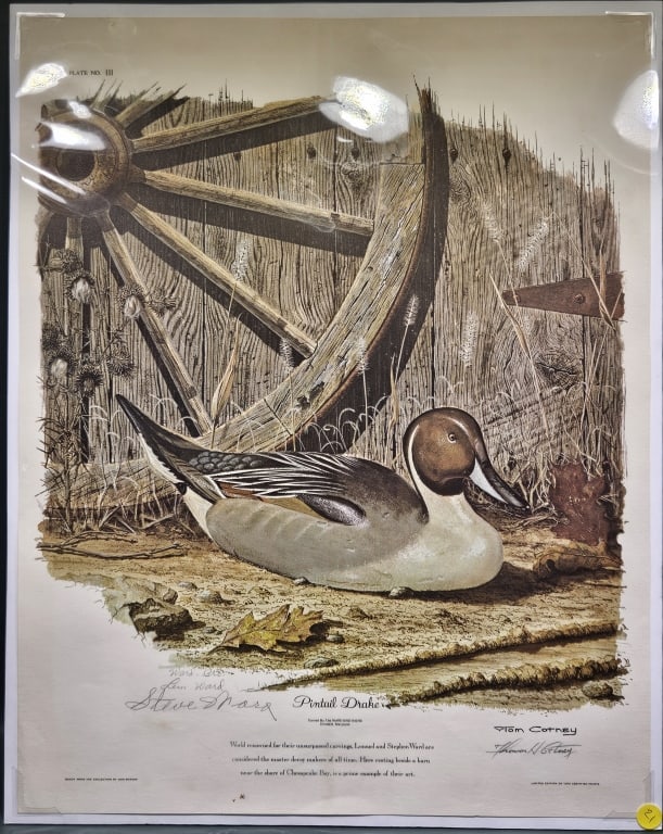 Thomas Cotney Ward Bro Pintail Print Signed Lem Wa Auction
