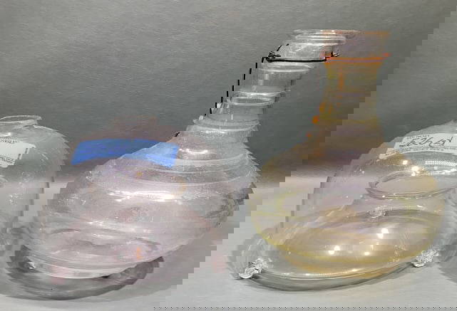 2 Antique Glass Insect Traps Auction