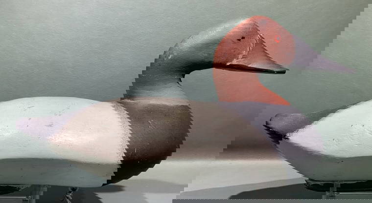 Sam Snyder Canvasback Drake Auction