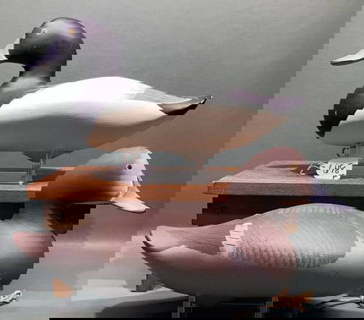 Pr Capt Bill Collins Blue Bills Auction