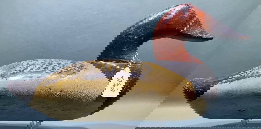 Madison Mitchell Canvasback In Old Repaint Auction